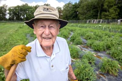 WVU professor emeritus and creator of "people’s tomato" unveils final ...
