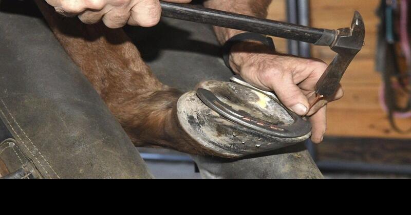 Hoofing it - the art of horse farriering | State & Region | register ...