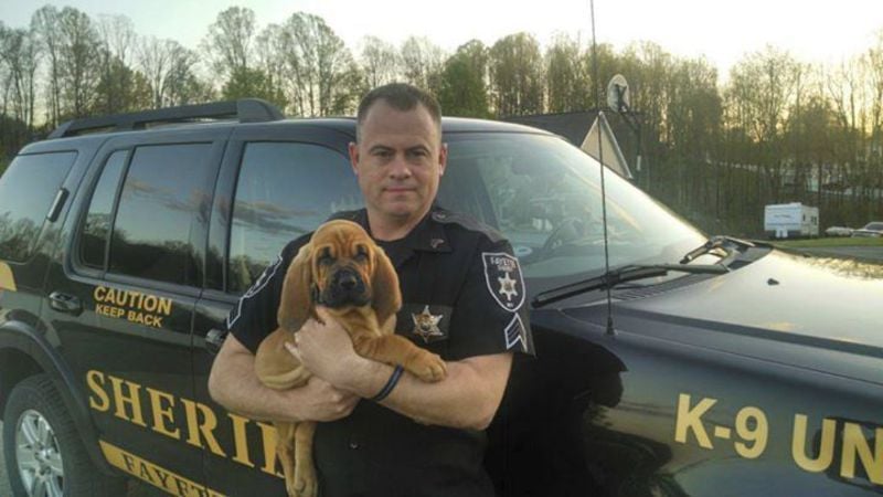 Fayette County Sheriff's Office welcomes two to the pack | News ...