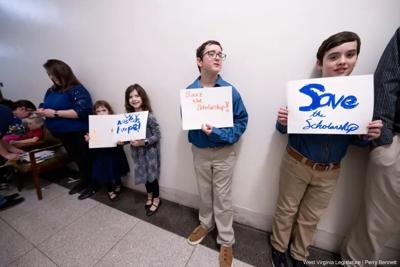 Proposed cap to Hope Scholarship won’t keep costs from ballooning to ...