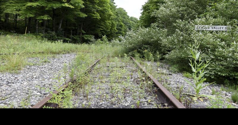 DEP grant boosts Meadow River Rail Trail project | State & Region ...