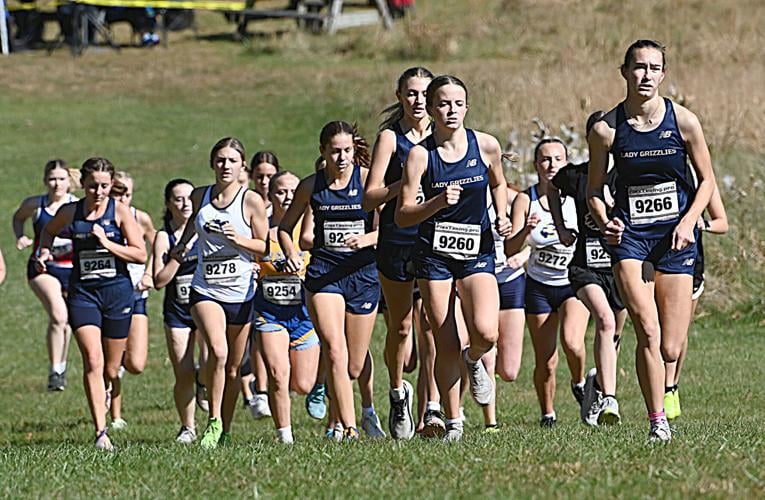 Class AA cross country: Nicholas sweeps individual titles, Shady boys ...