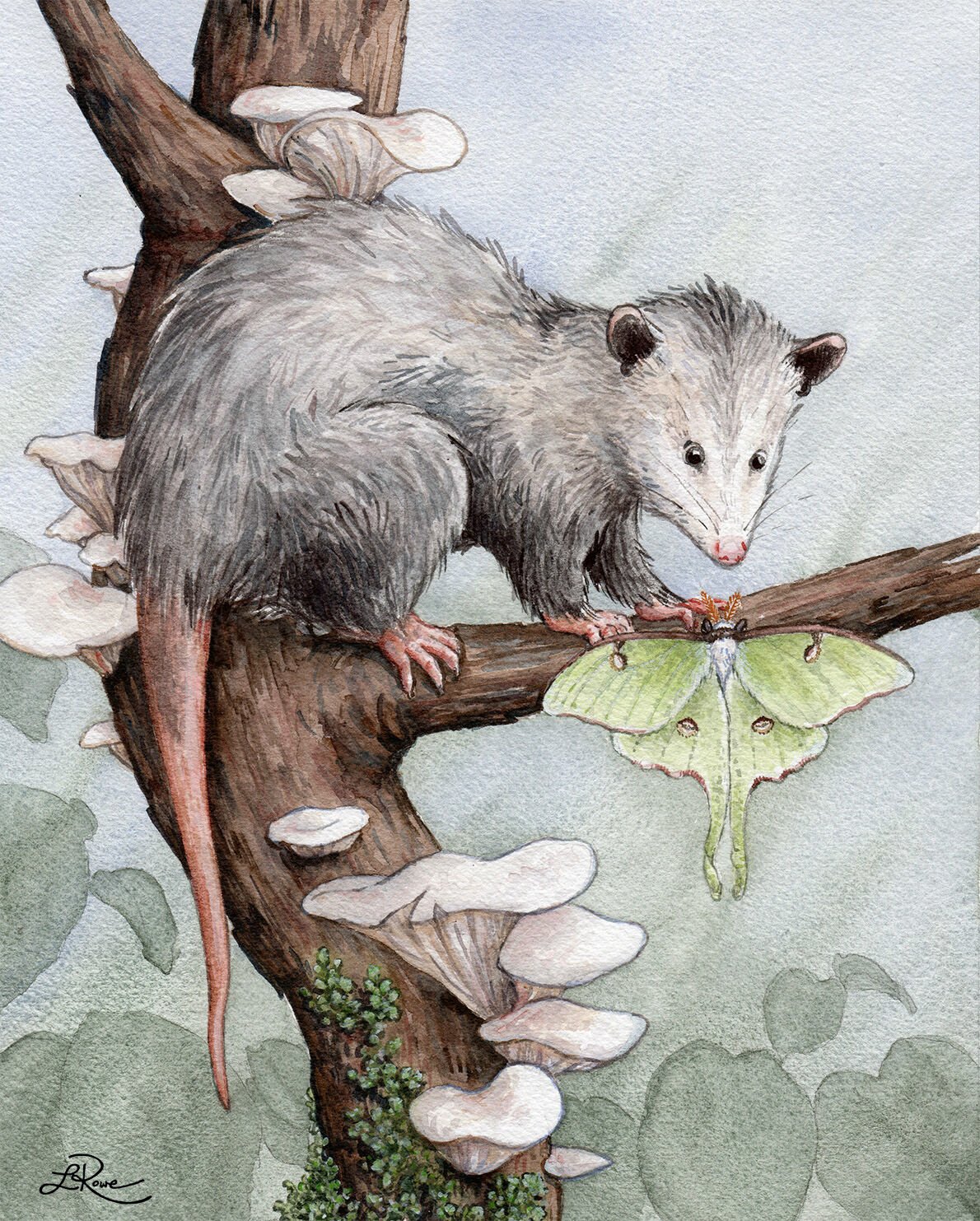 Watercolor exhibition on display at Carnegie Hall | Local News ...