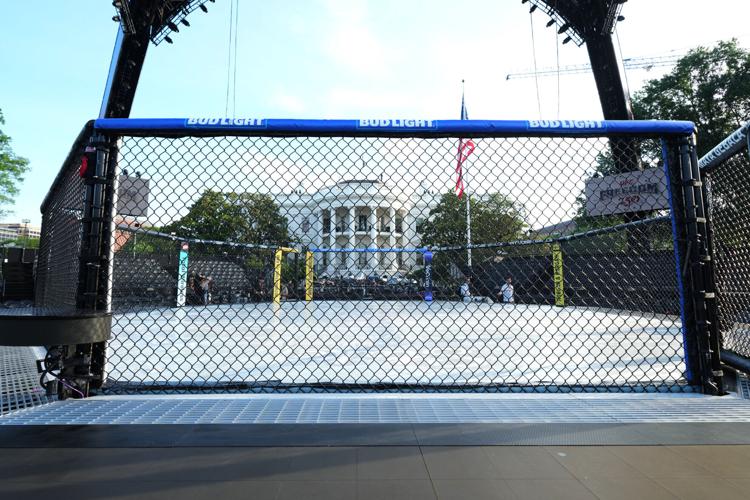Lights! Camera! Cage match! The White House lawn's Octagon is ready for ...