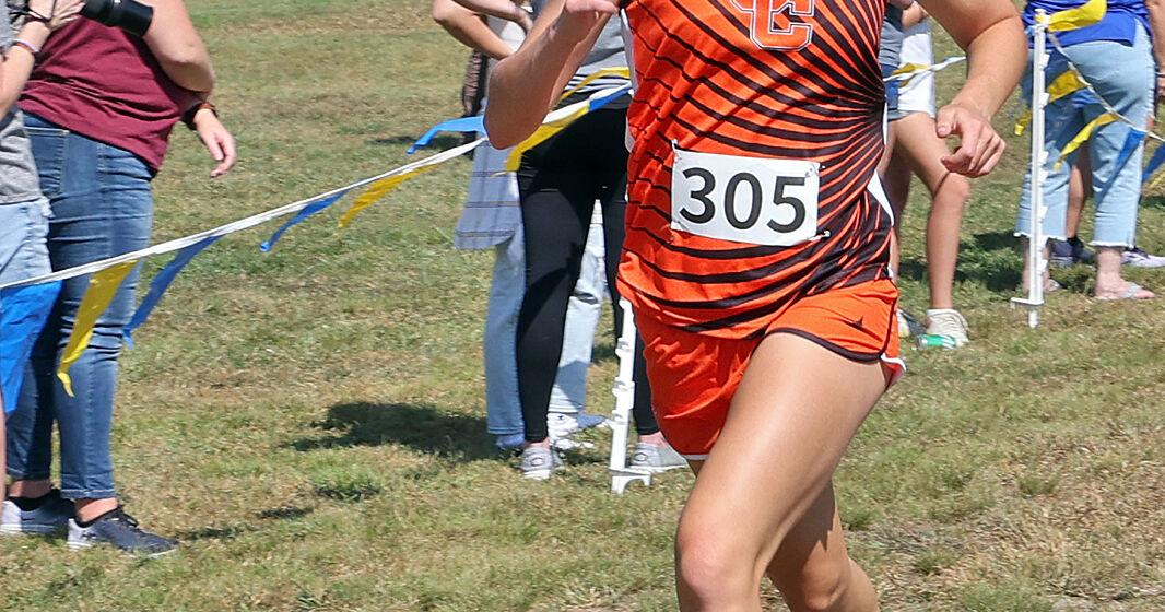 Prep cross country: All-stater Lilly finishes 9th; Shady boys fifth ...