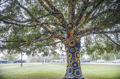 tamarack wv coloring pages