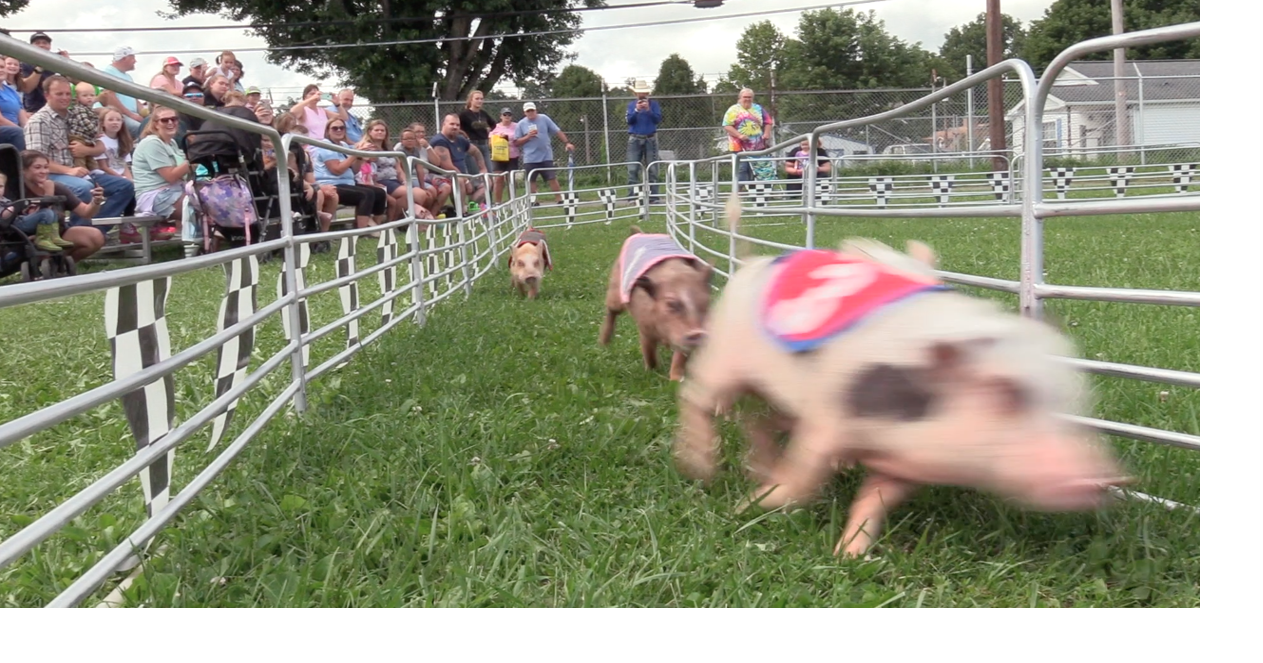 A Swifty Swine show at the Fair | Multimedia | register-herald.com