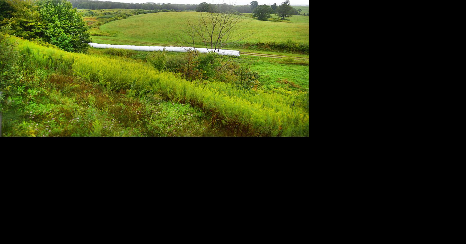 Extension approved on Raleigh Solar Farm construction | News | register ...