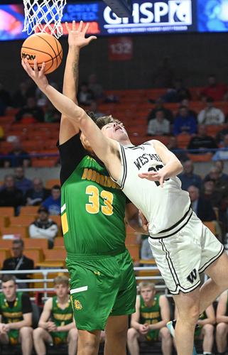 Boys prep basketball Class AA all-state: Warriors freshmen Johnson ...