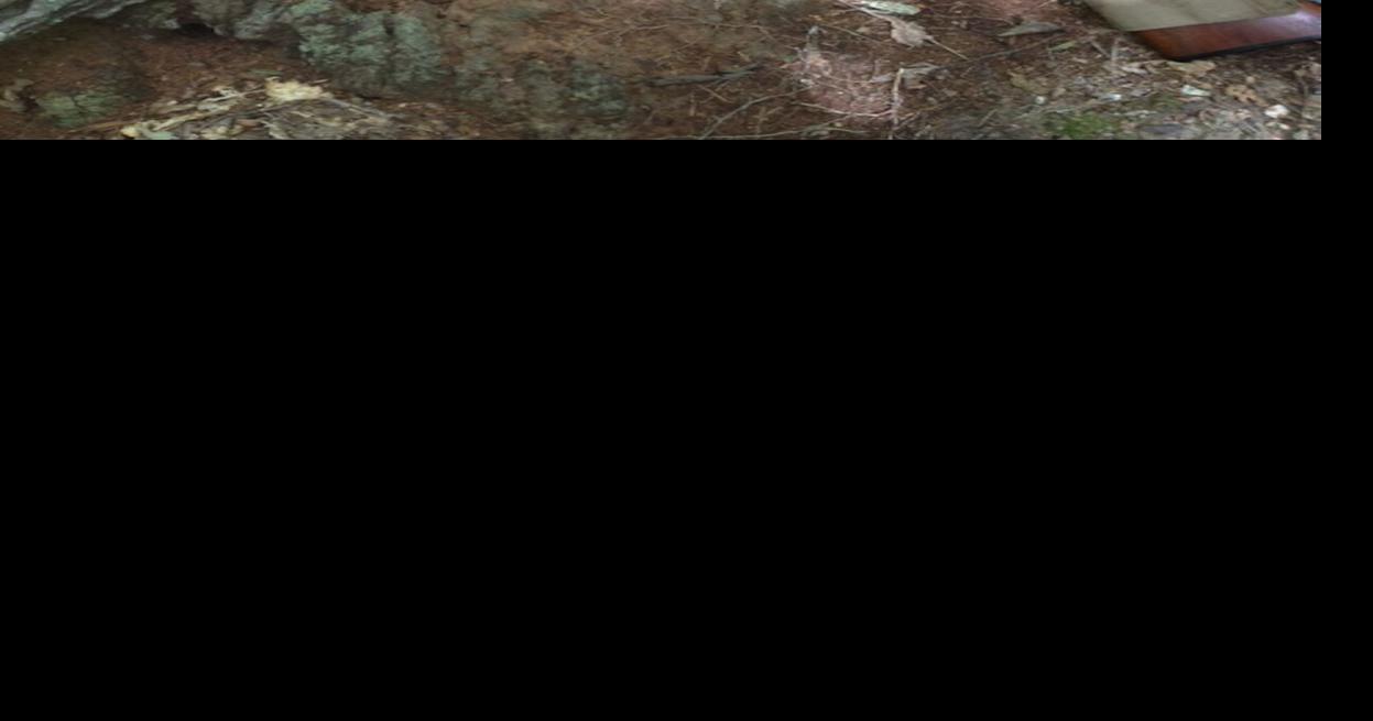 Larry Case: Squirrels in the fourth quarter | Sports | register-herald.com