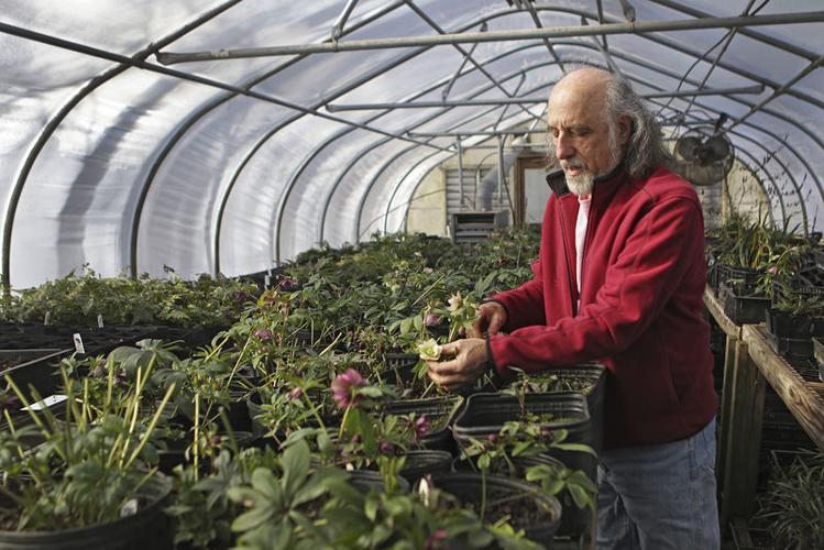 Olympic landscape material produced at Renick farm | News | register ...