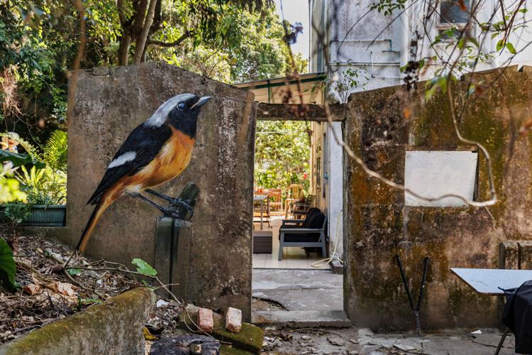 Across the forgotten walls of a Hong Kong island, a flock of bird ...