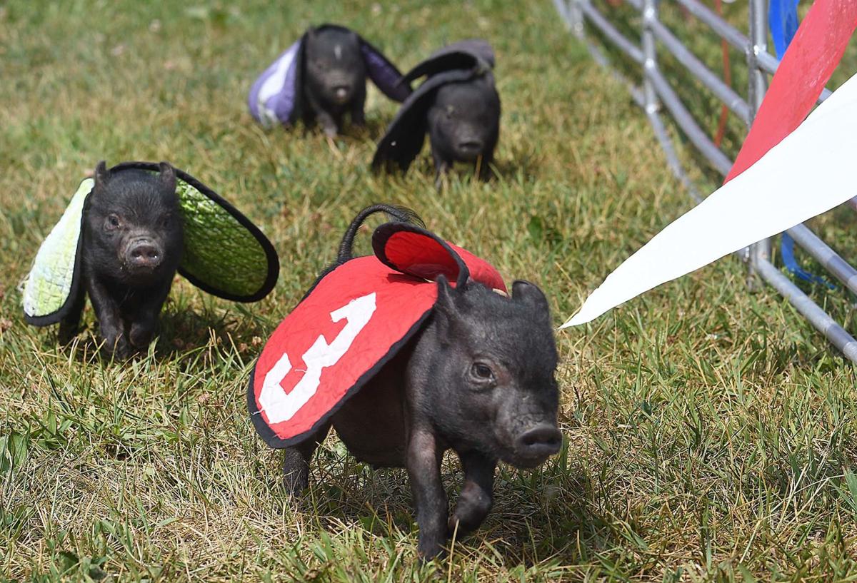 High flying at the State Fair | News | register-herald.com