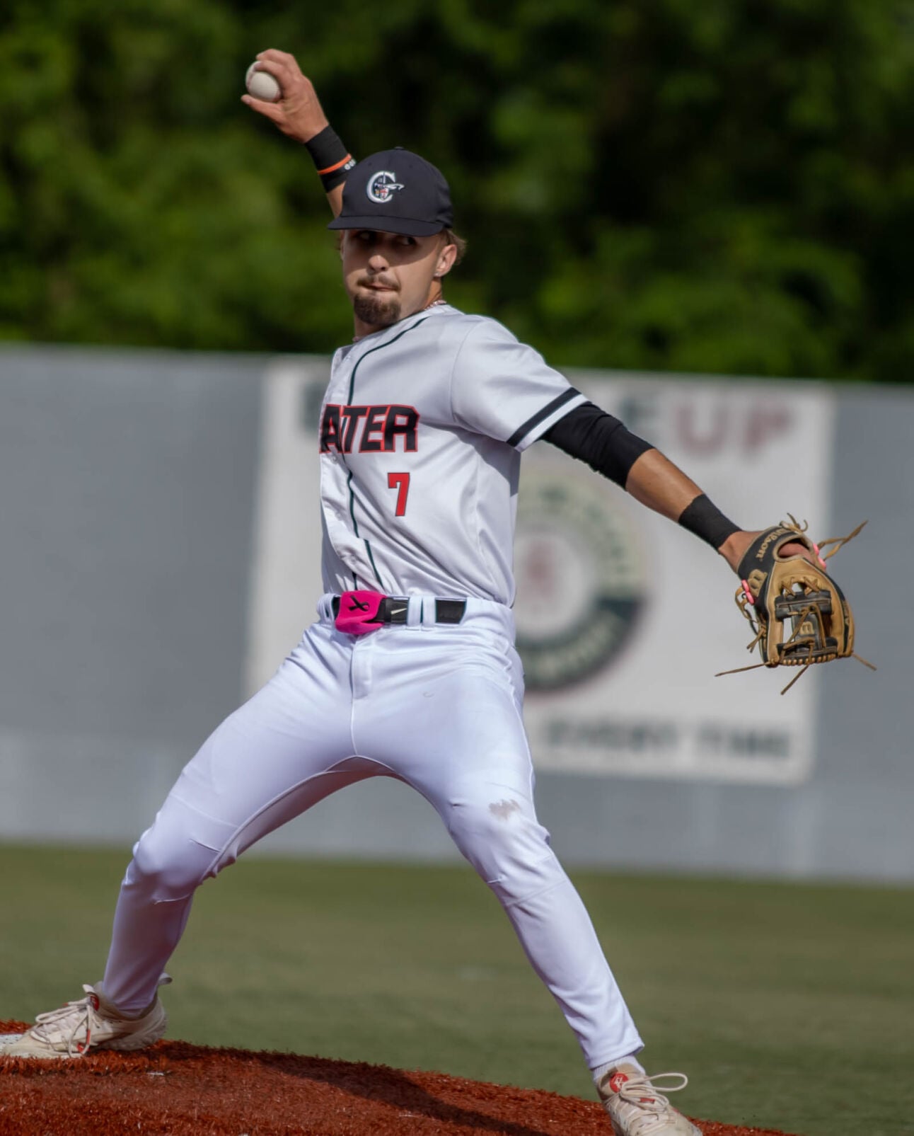 Prep baseball regionals: Webster County strikes early on GBC, forces ...