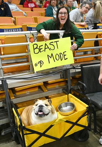 Girls basketball state tournament: Workman-like performance sends ...