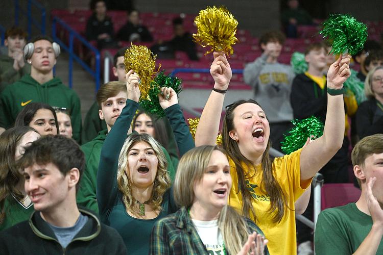 Girls basketball state tournament: Workman-like performance sends ...