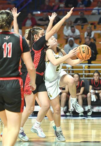 Girls basketball state tournament: Workman-like performance sends ...