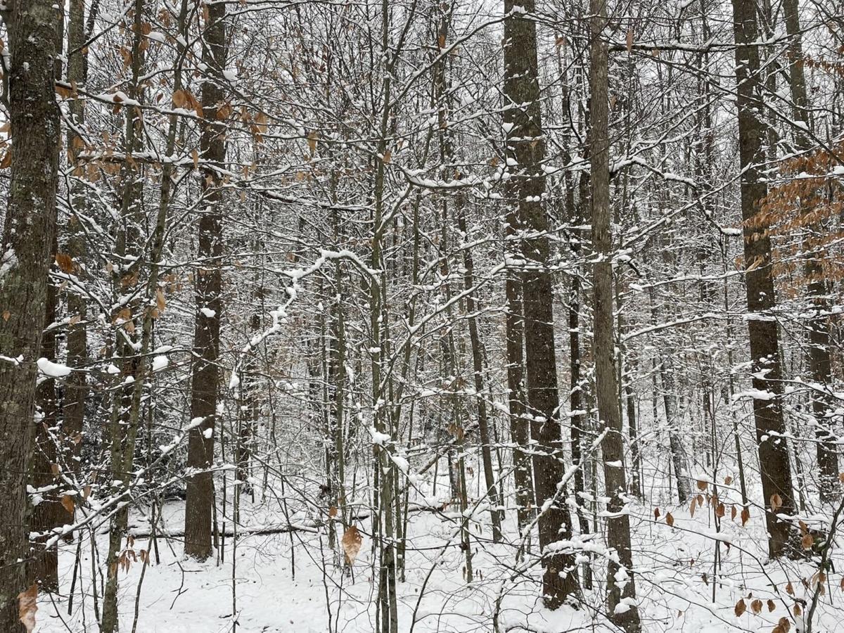 Chris Ellis: Plenty of other hunting seasons to enjoy | Sports ...