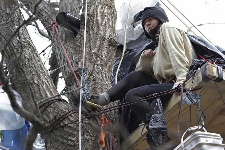 Tree-sit protest that spilled over into Virginia broken up by ...
