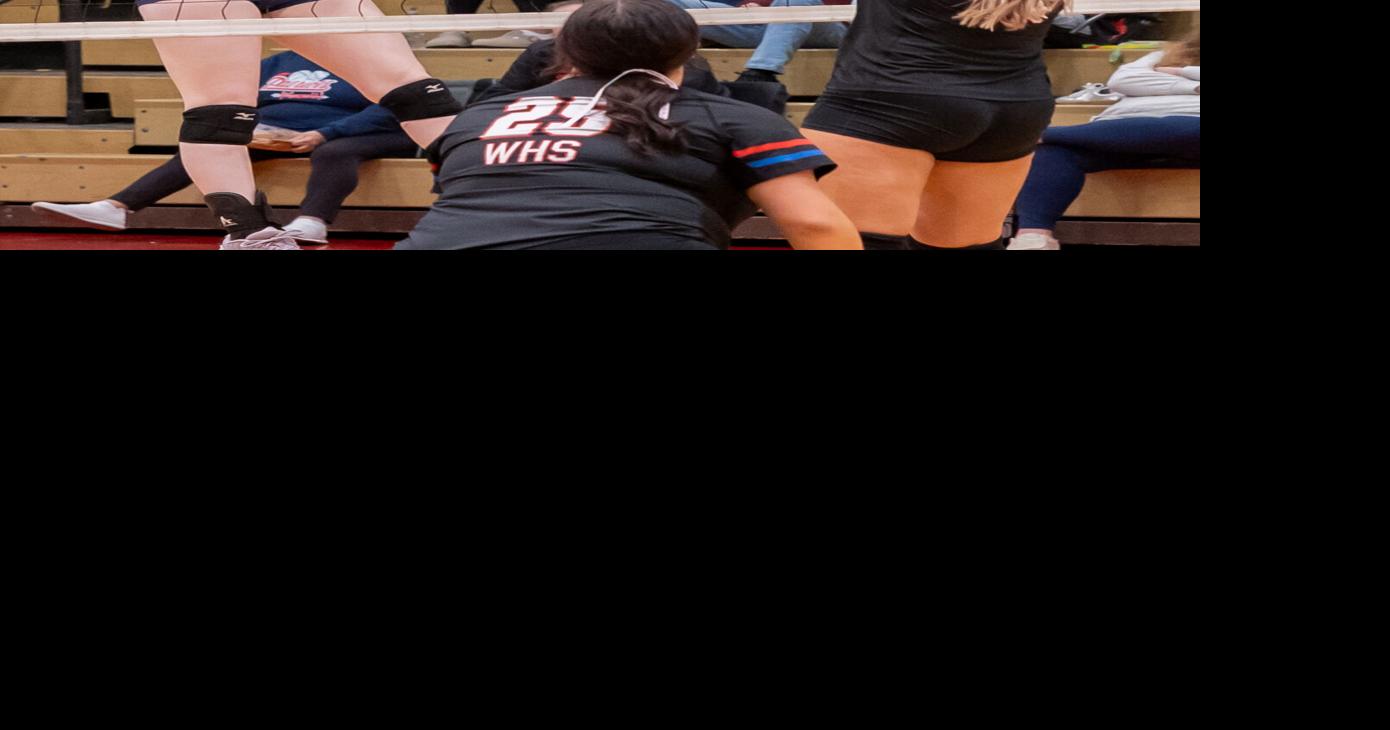 Prep volleyball: Fun-loving Perry twins help Indy make state tournament ...