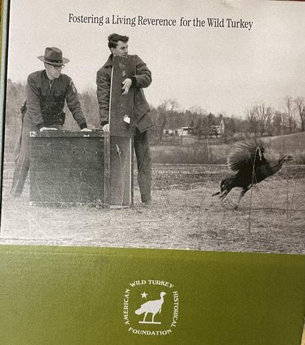 Chris Ellis: Preserve the past, celebrate the present, inspire the ...