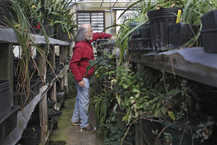 Olympic landscape material produced at Renick farm | News | register ...