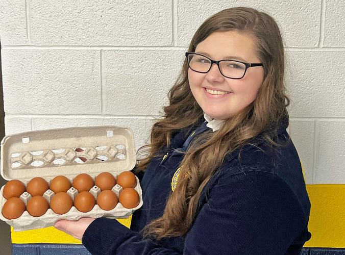 Shady FFA ham/bacon/egg show nets more than $19,000 | Education ...