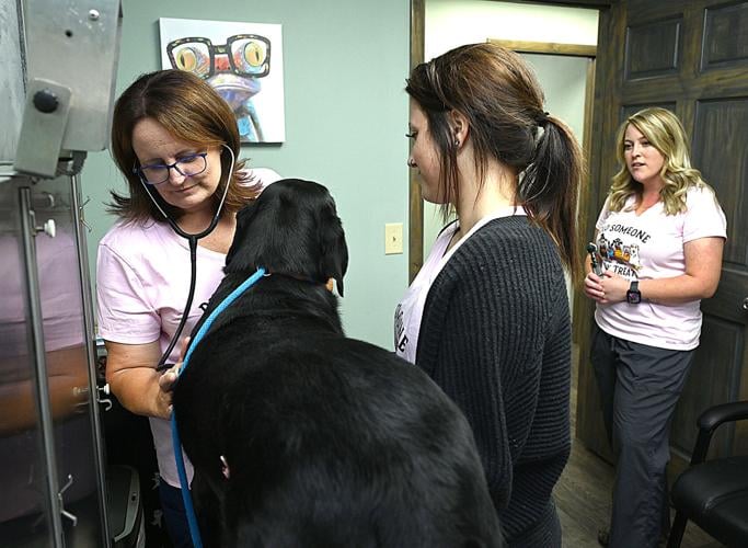 Paws and Claws attracts wide clientele | Life | register-herald.com