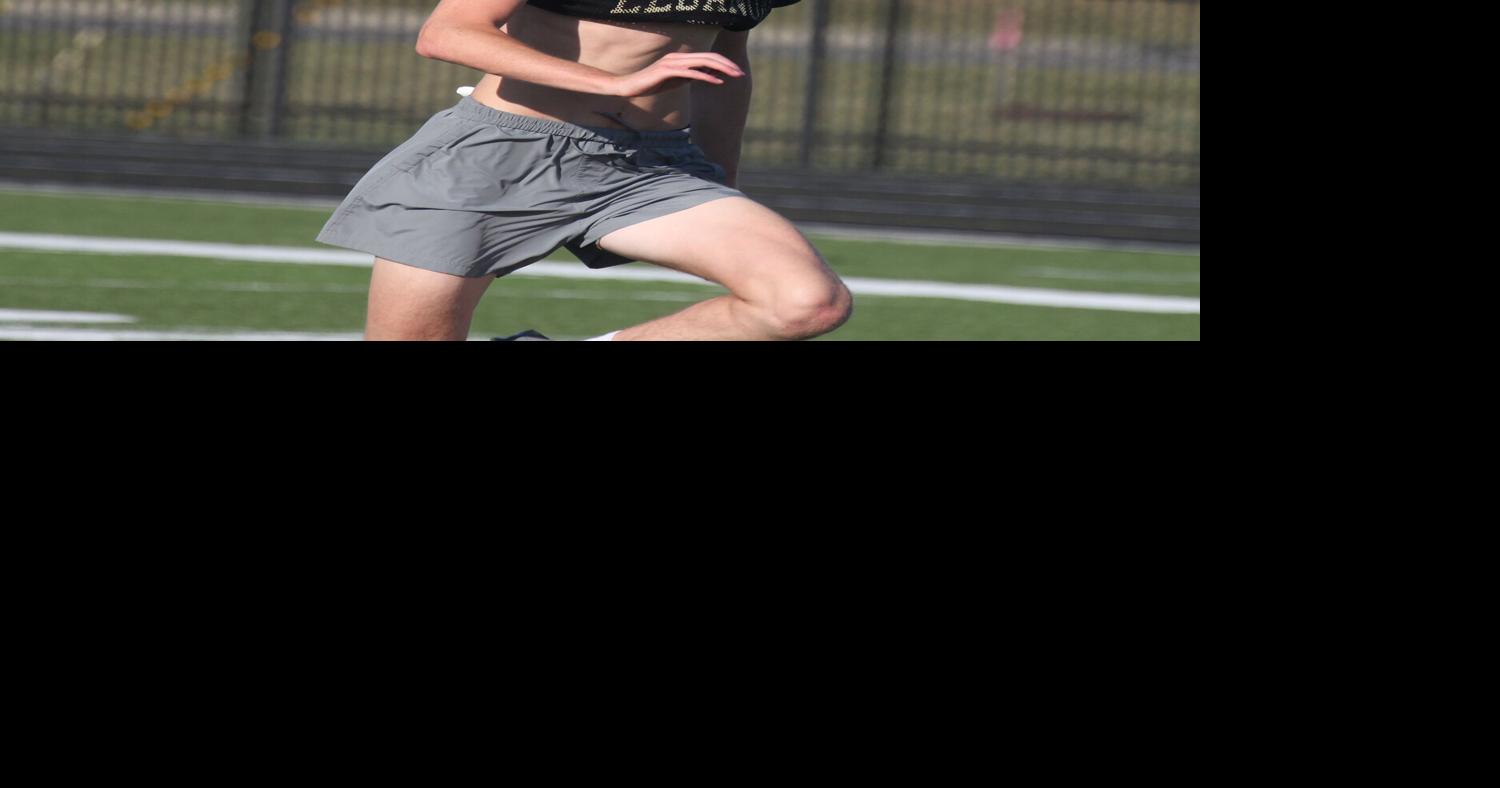 Pollock bringing experience, leadership to Tigers' secondary | Sports ...