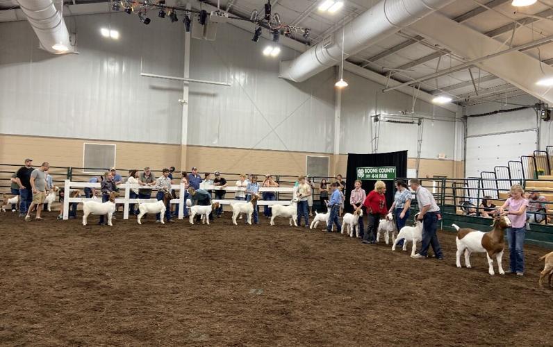 Boone County family leads the way in 4-H Meat Goat Show | Local News ...