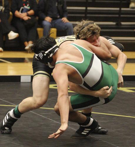 Tigers take care of business against Bulldogs | Sports | reporter.net