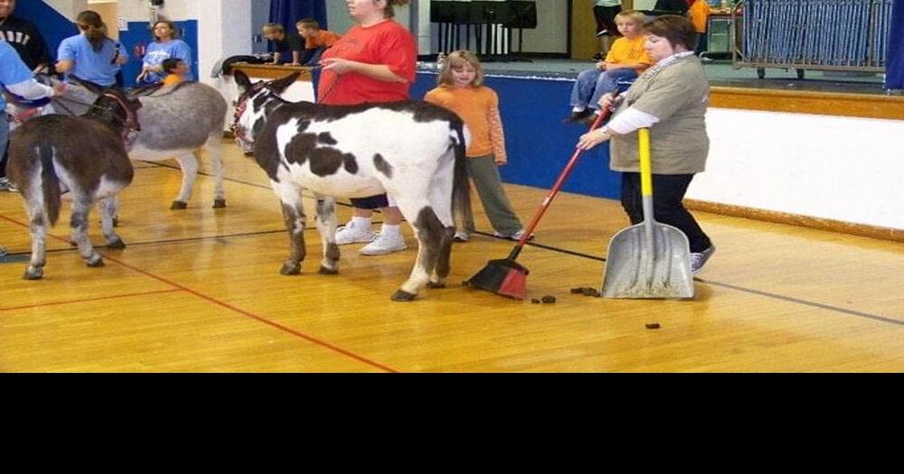 WBEF to hold donkey basketball fundraiser | Local News | reporter.net