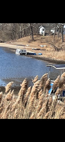 Lake Cicott residents concerned by receding shoreline | News | reporter.net