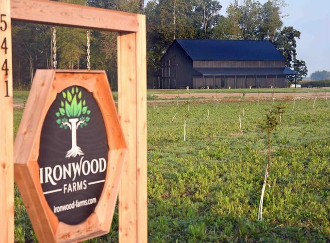 Pick produce and sit a spell at Ironwood Farms | Local News | reporter.net