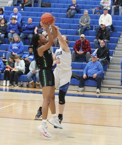 Third-quarter run dooms Eagles against Grizzly Cubs | Sports | reporter.net