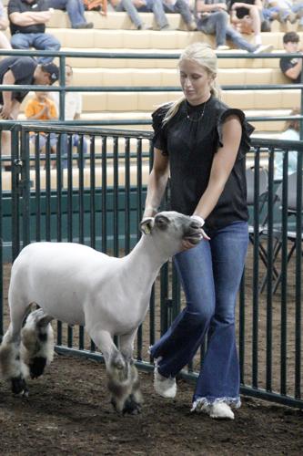 Boone County 4-H Livestock Auction brings in the cash | Local News ...
