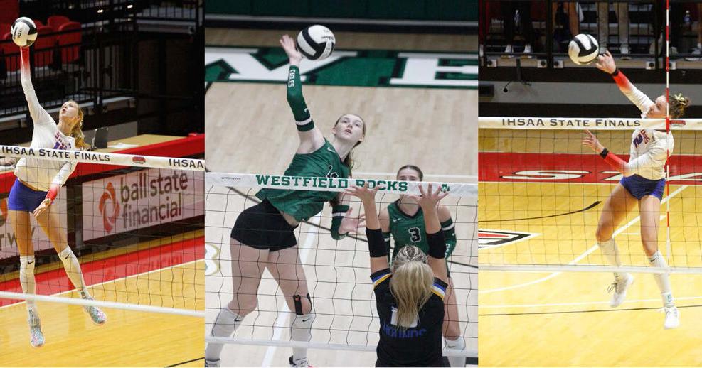 Local players honored by IHSVCA | Sports | reporter.net