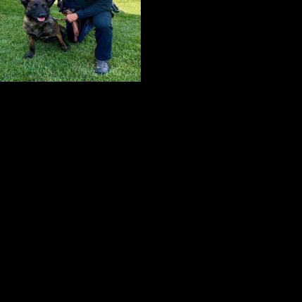 ISP Department’s K9 Duke to get donation of body armor | News ...