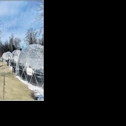 Plastic igloos offer unique dining experience | News | reporter.net