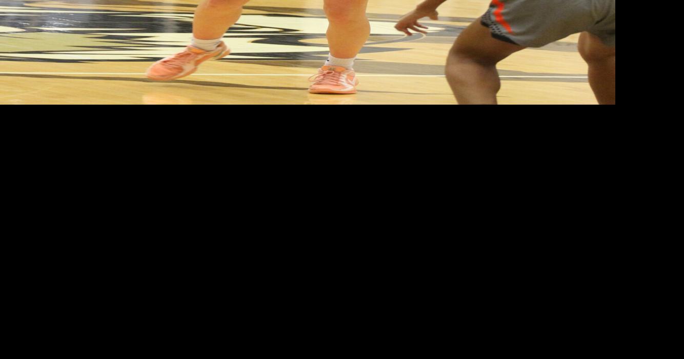 Lady Tigers fall to Beech Grove | Sports | reporter.net