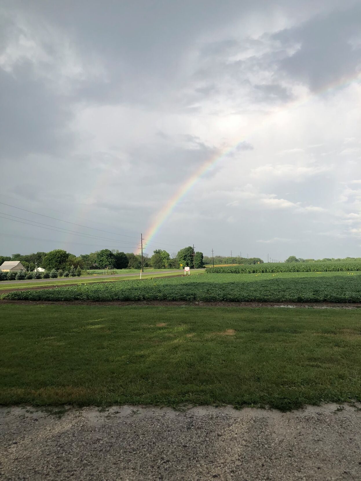 Lawson Farms Continues Family Legacy | News | reporter.net