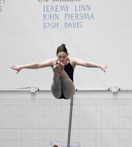 Fettig places 11th in diving at State Finals | Sports | reporter.net