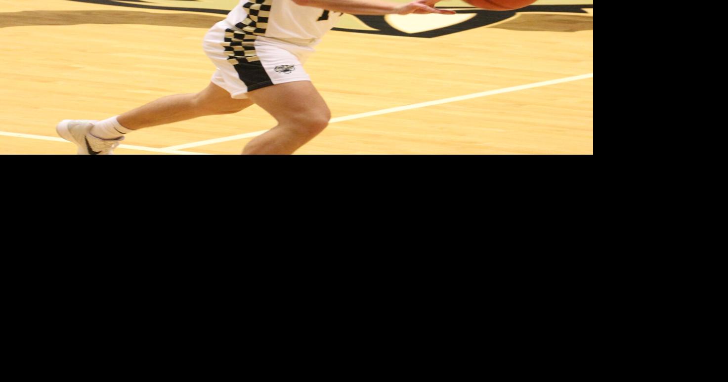 Tigers fall just short against visiting Wildkats | Sports | reporter.net