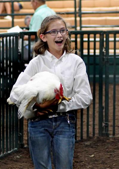 4-H project fair highlights nearly 60 projects | Local News | reporter.net