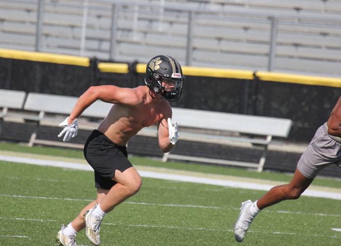 Toole overcomes injury adversity to help lead Tigers | Sports ...