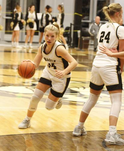 Lady Tigers fall in sectional semis | Sports | reporter.net