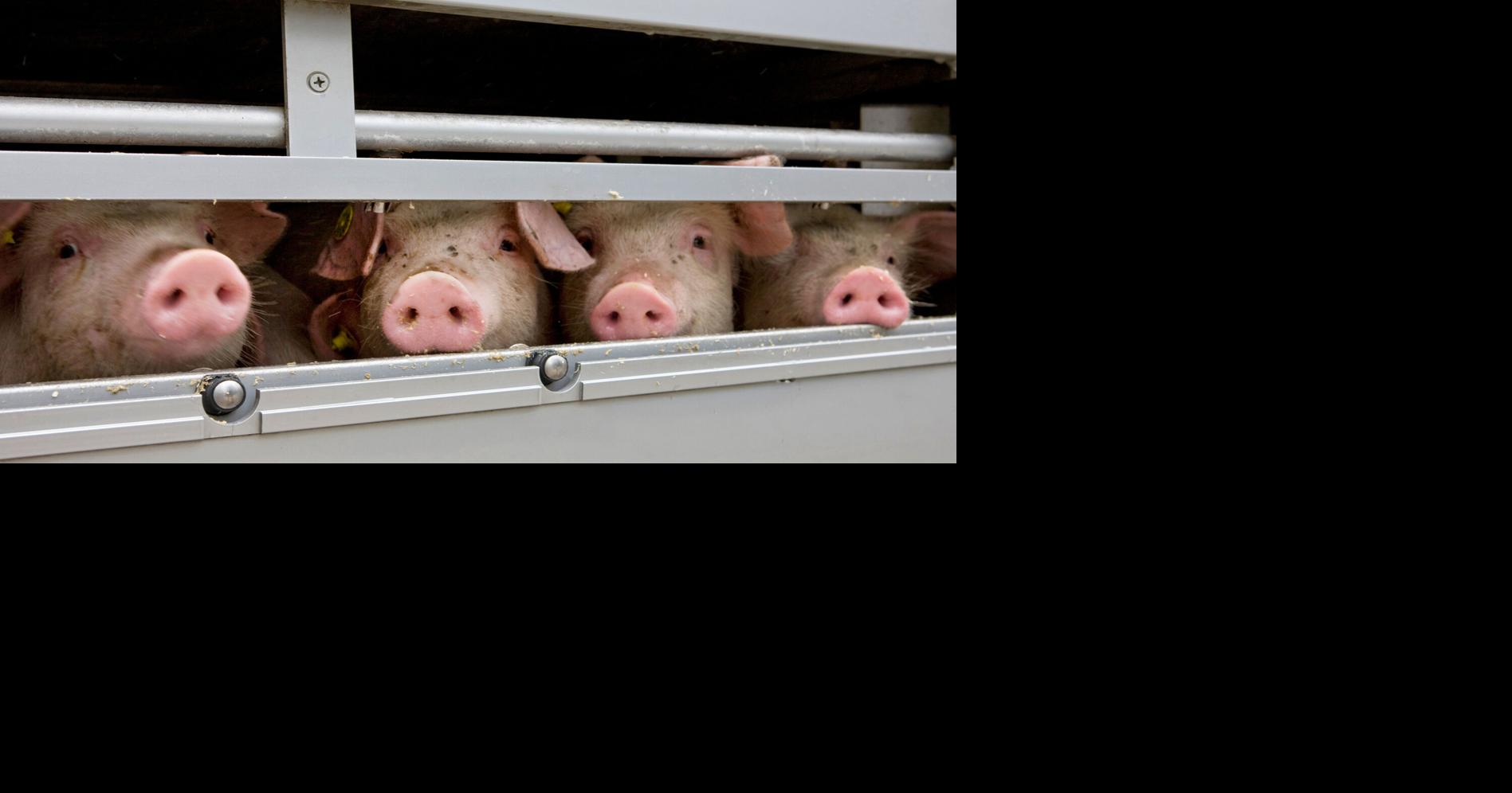 farming deregulation