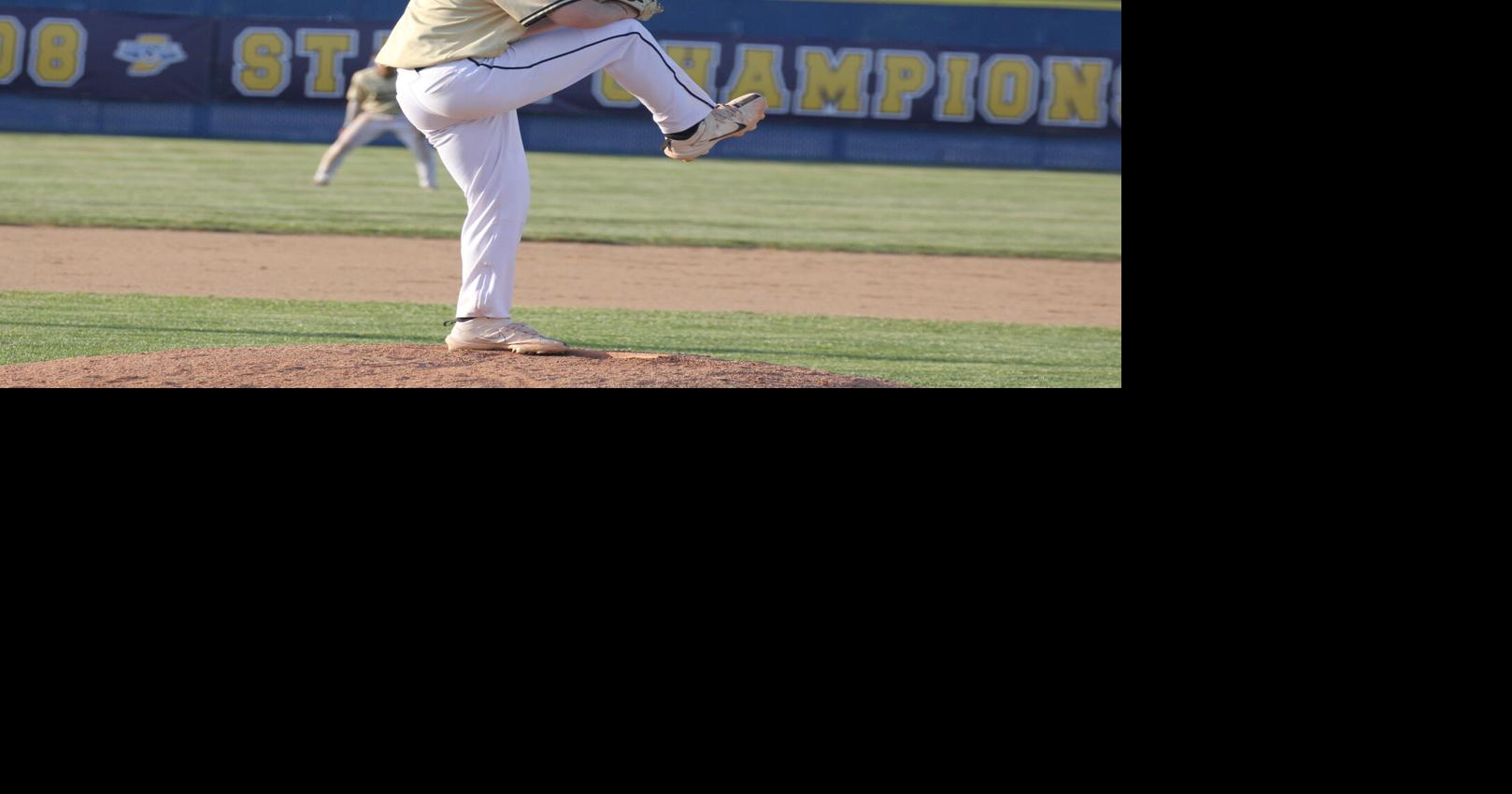 Wells throws perfect game as Tigers top Bulldogs | Sports | reporter.net