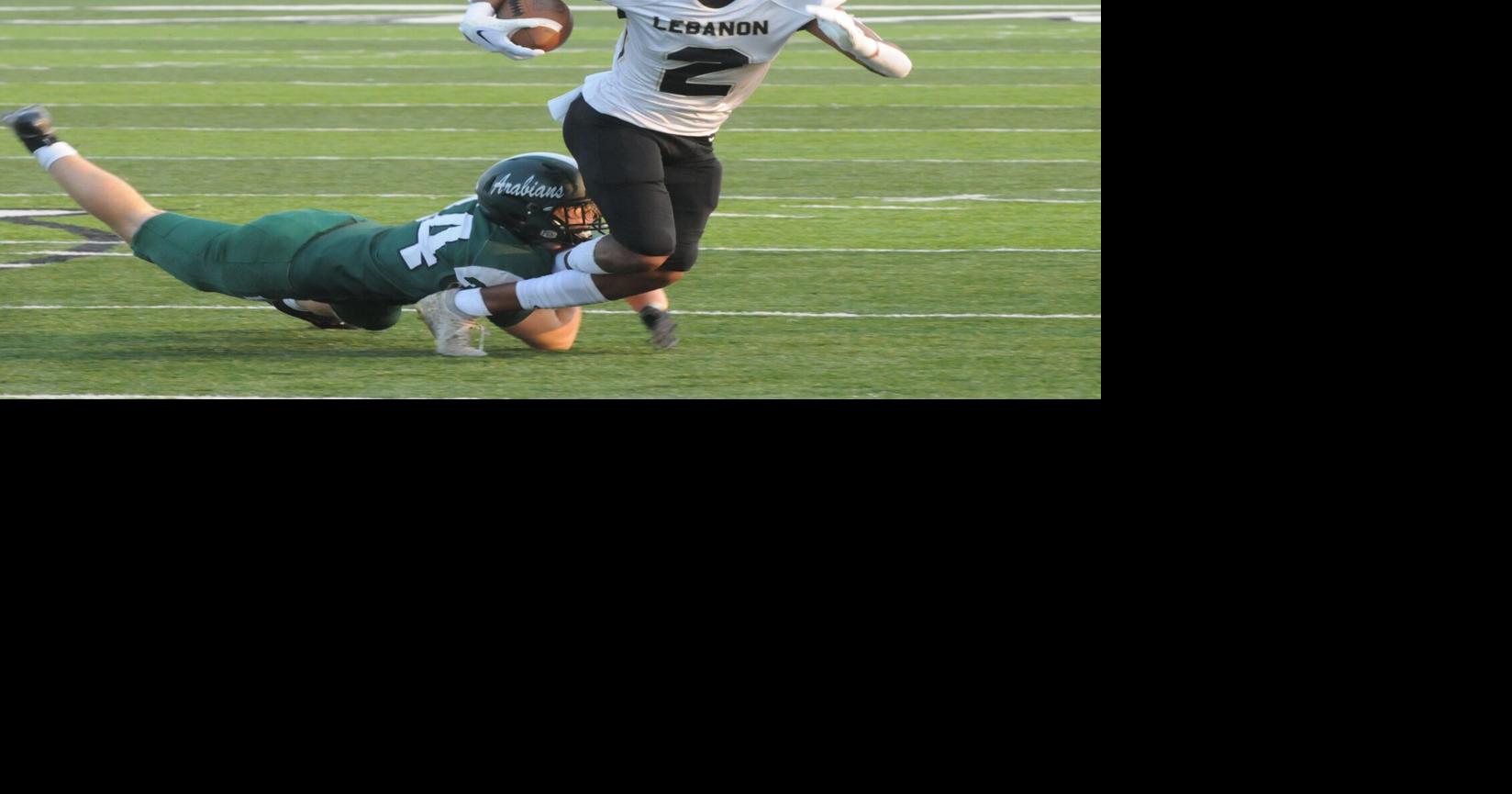 Experienced Tigers eager to hit the field | Sports | reporter.net