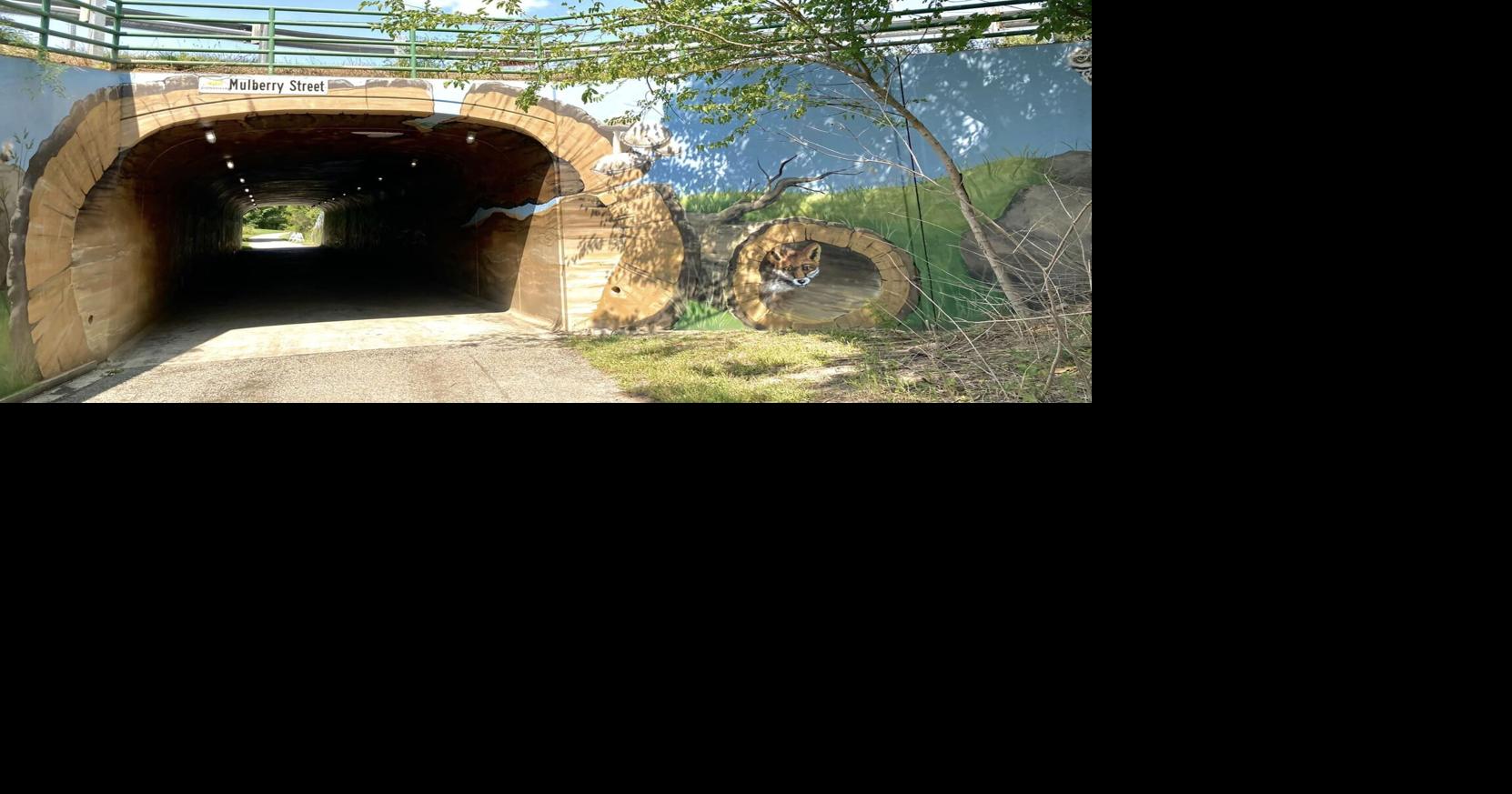 Community celebrates completion of Big 4 Rail Trail murals | Across ...